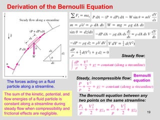 7. fm 8 bernoulli co 2 adam edit | PPT