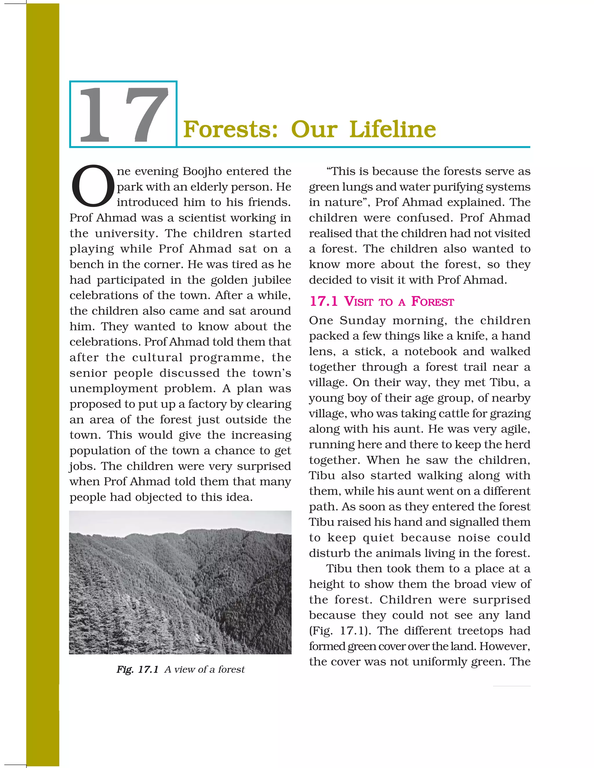 7 forest - our lifeline. | PDF