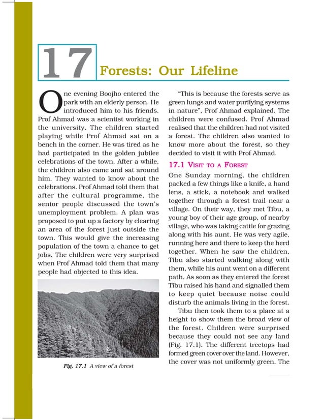7 forest - our lifeline. | PDF | Gardening | Home & Garden