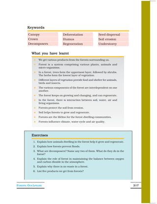 7 forest - our lifeline. | PDF
