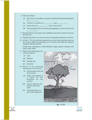 7 forest - our lifeline. | PDF