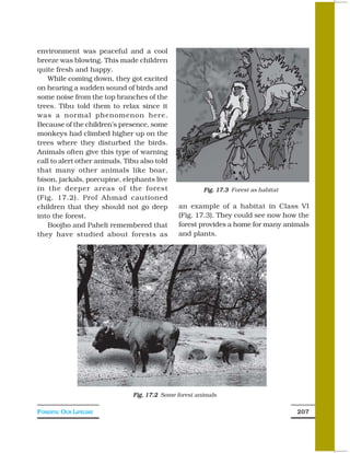 7 forest - our lifeline. | PDF