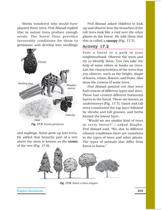 7 forest - our lifeline. | PDF