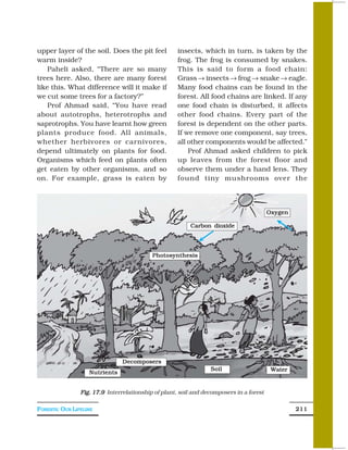 7 forest - our lifeline. | PDF