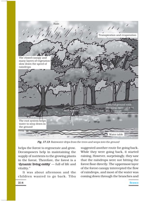 7 forest - our lifeline. | PDF