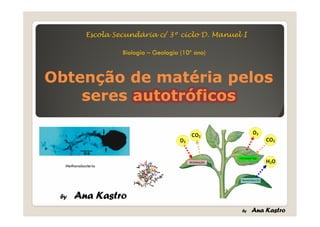 Autotrofia - Fotossíntese e Quimiossíntese | PDF