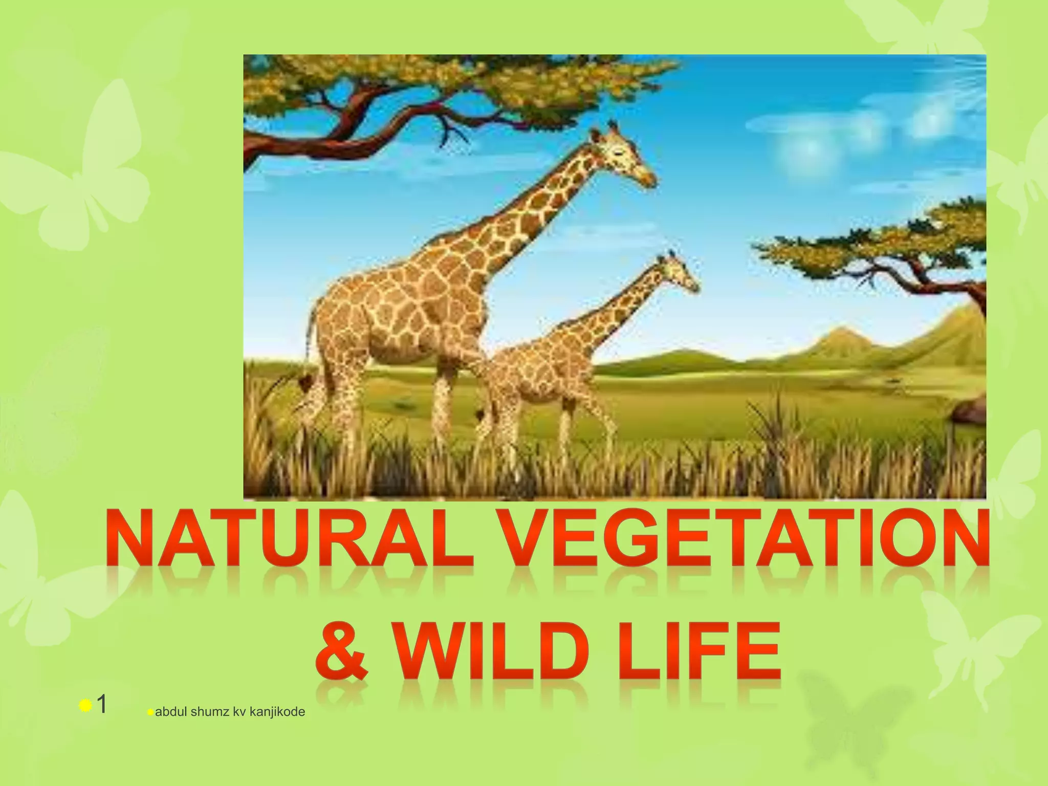 NATURAL VEGETATION, CLASS 7 CBSE GEOGRAPHY | PPTX