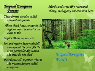 NATURAL VEGETATION, CLASS 7 CBSE GEOGRAPHY | PPTX