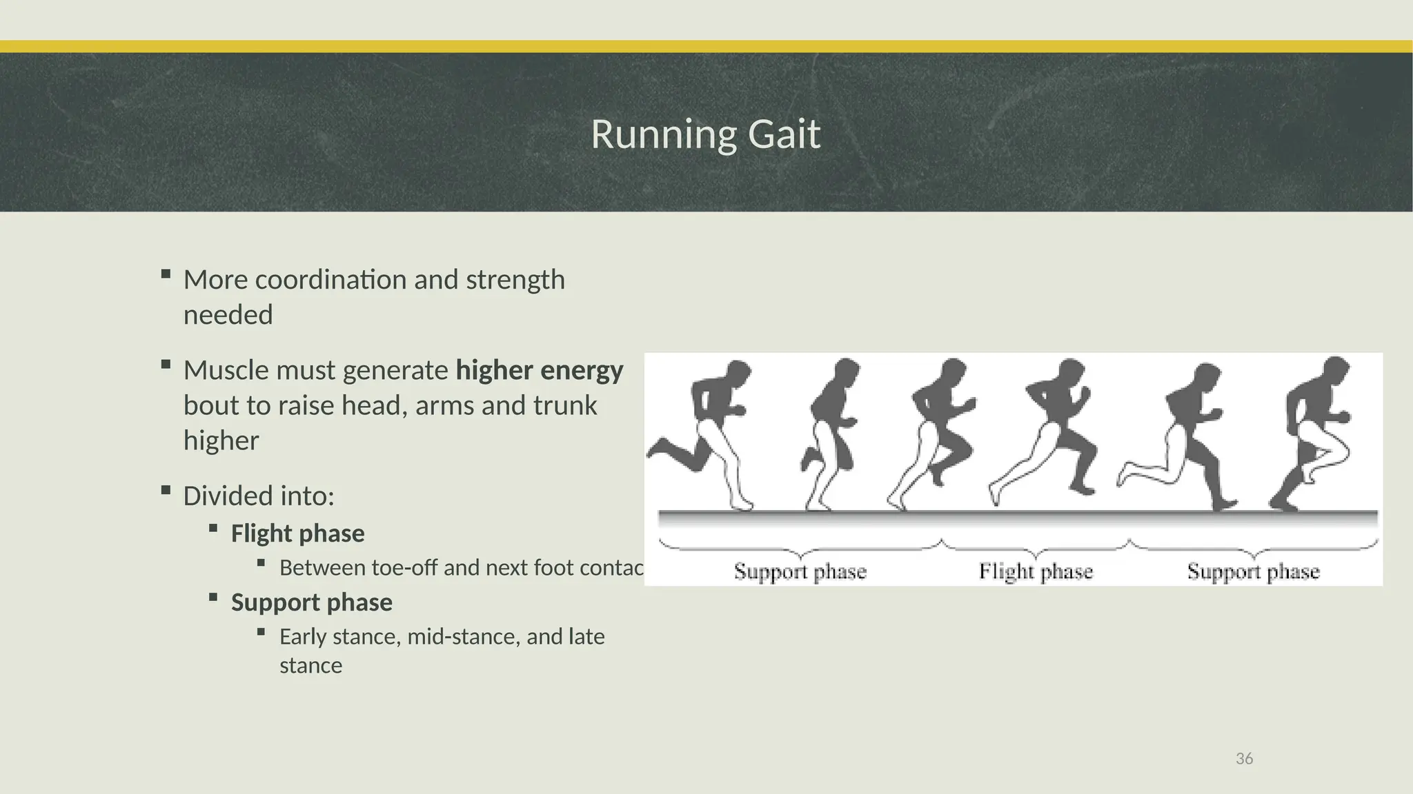 Gait Powerpoint Presentation Kinesiology | PPTX