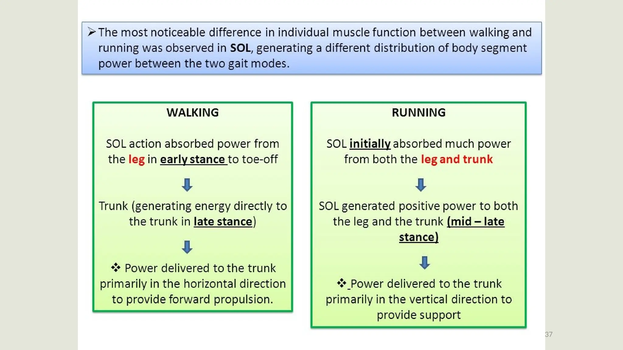 Gait Powerpoint Presentation Kinesiology | PPTX