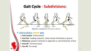 Gait Powerpoint Presentation Kinesiology | PPTX