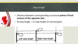 Gait Powerpoint Presentation Kinesiology | PPTX