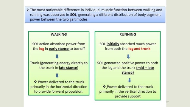 Gait Powerpoint Presentation Kinesiology | PPTX