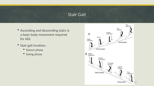 Gait Powerpoint Presentation Kinesiology | PPTX