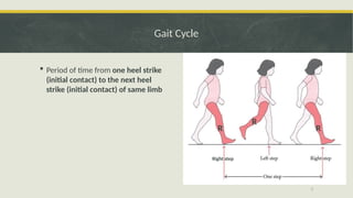 Gait Powerpoint Presentation Kinesiology | PPTX