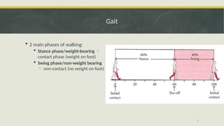 Gait Powerpoint Presentation Kinesiology | PPTX
