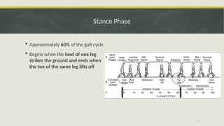 Gait Powerpoint Presentation Kinesiology | PPTX