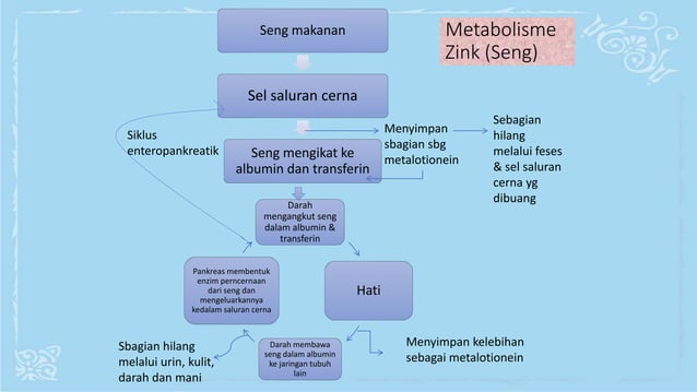7 - Gangguan Metabolisme Mineral 2023.pptx