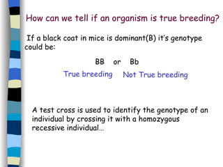 7. Genetics And Inheritance | PPT | Genetics | Science