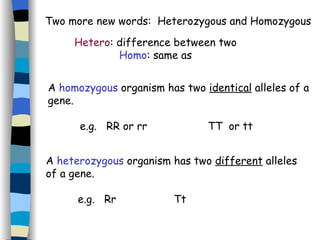 7. Genetics And Inheritance | PPT | Genetics | Science