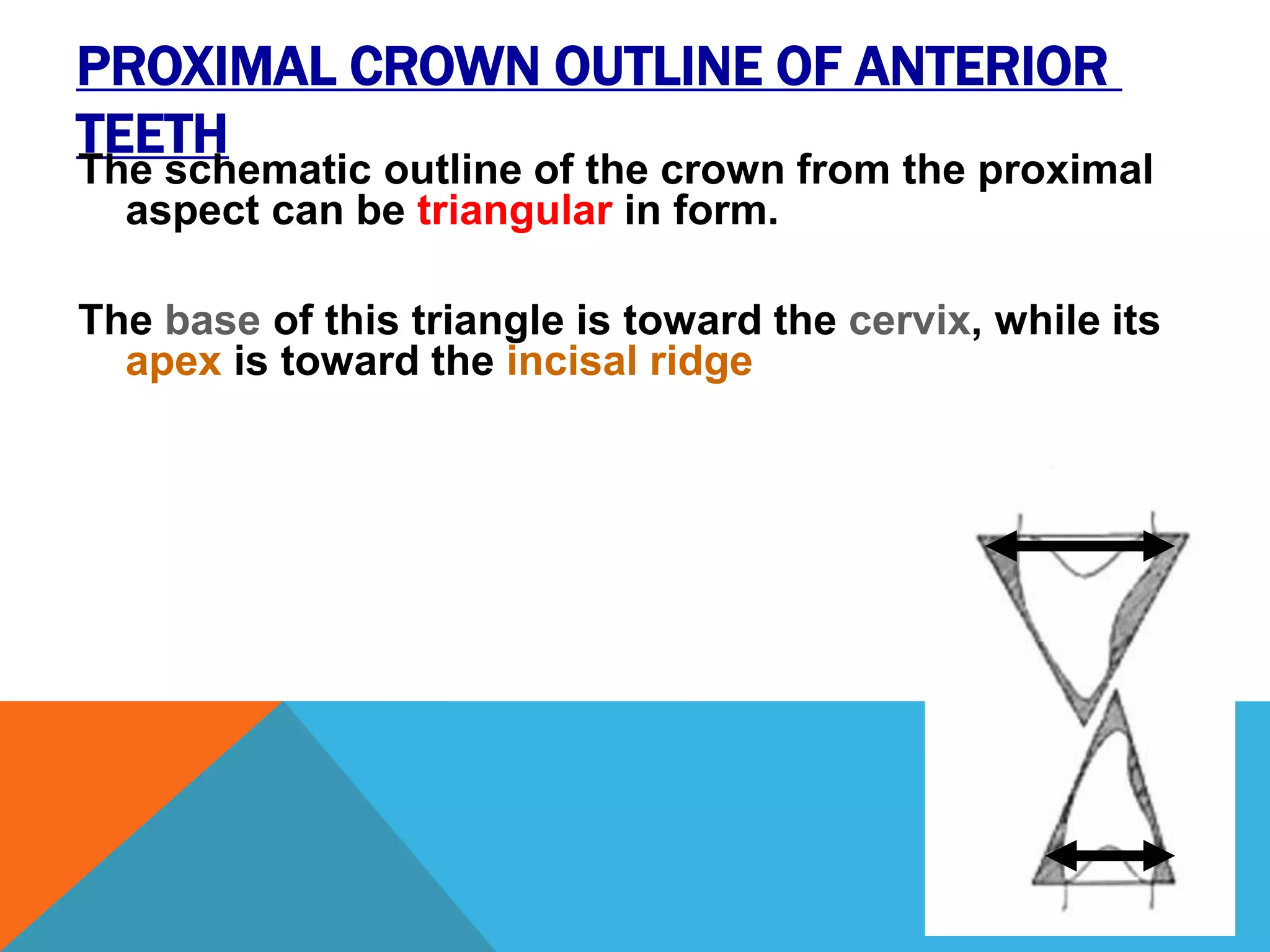 Geometric outline of teeth | PPTX