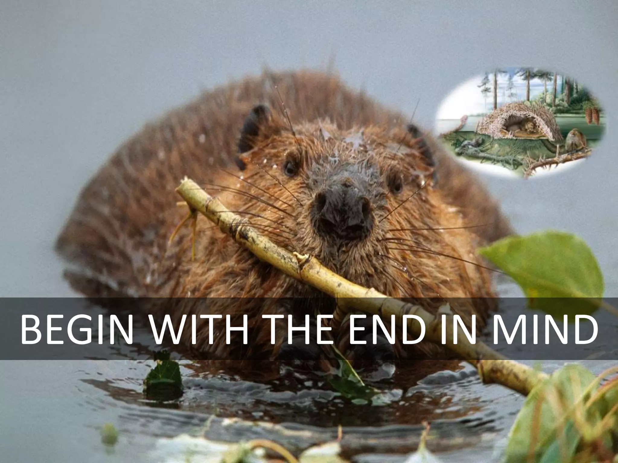 7 habits-posters | PPT