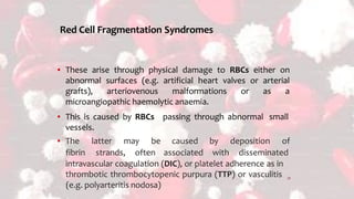 7-Haemolytic anaemias a sub-type of anemia, a common blood disorder .pdf