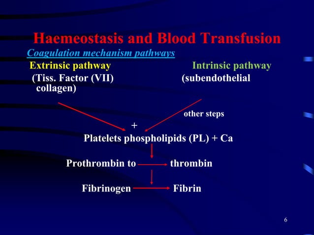 7 haemostasis | PPT