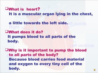 7 heart&circulation nu | PPT
