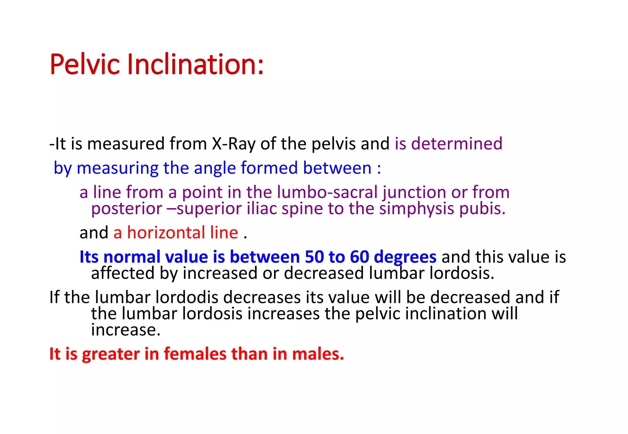 Human Posture | PPT