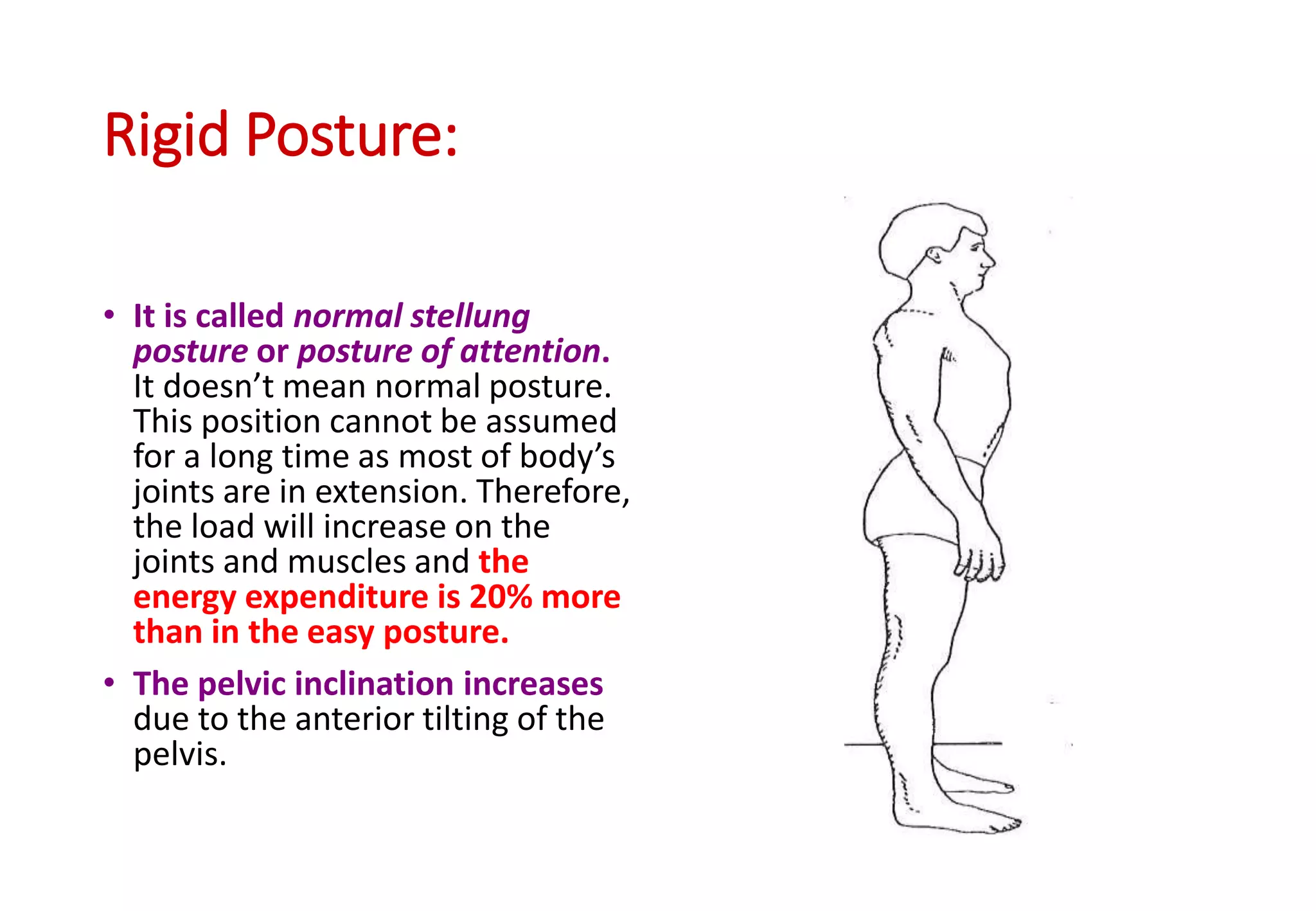 Human Posture | PPT