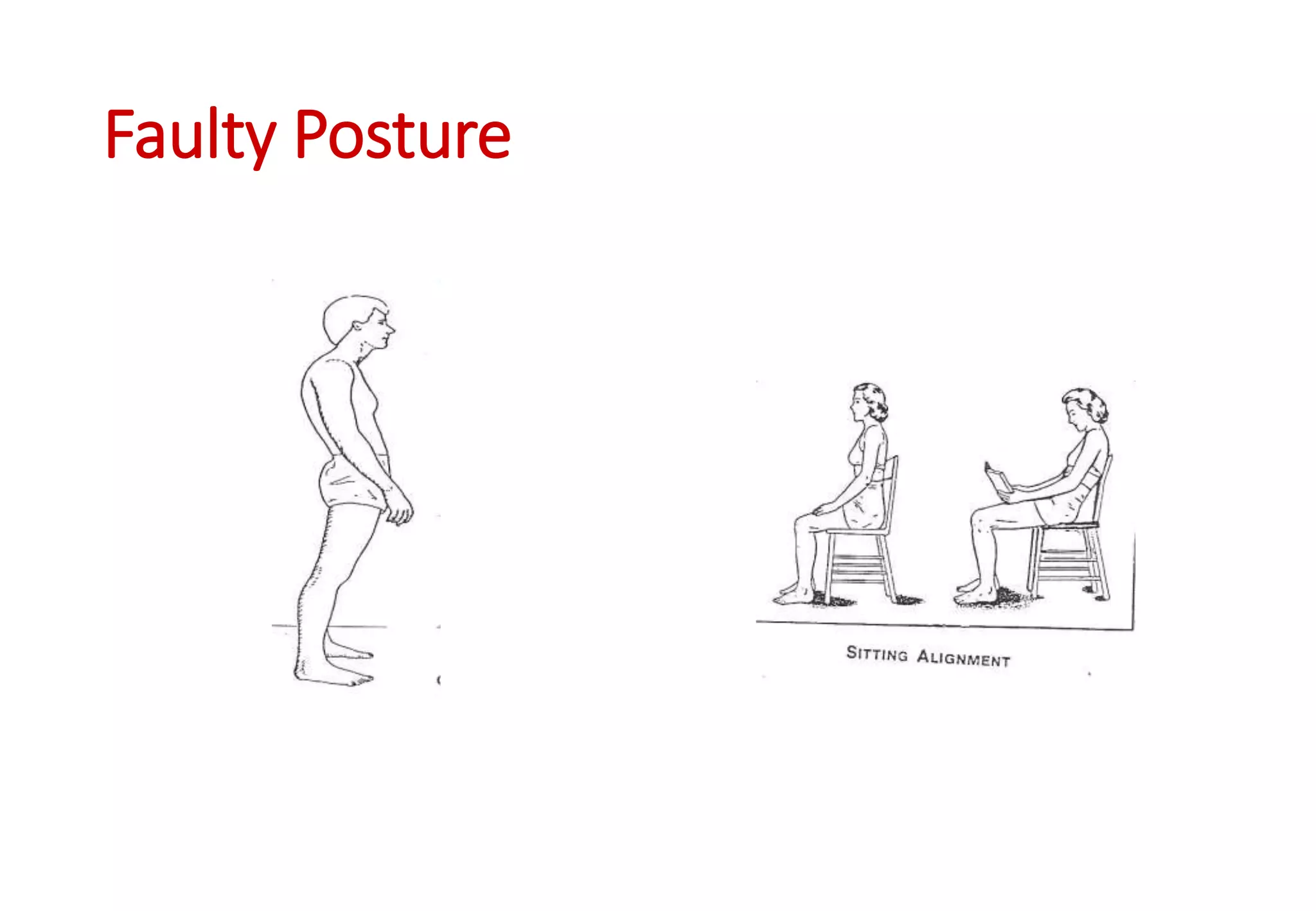 Human Posture | PPT