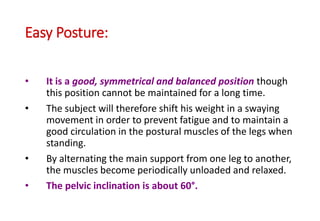 Human Posture | PPT