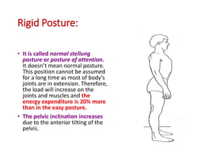Human Posture | PPT