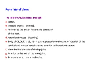Human Posture | PPT
