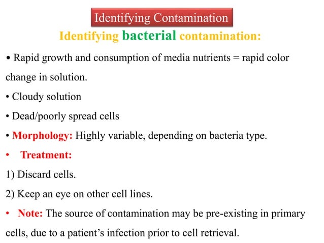 identifying cell culture problems lecture 7 | PPTX