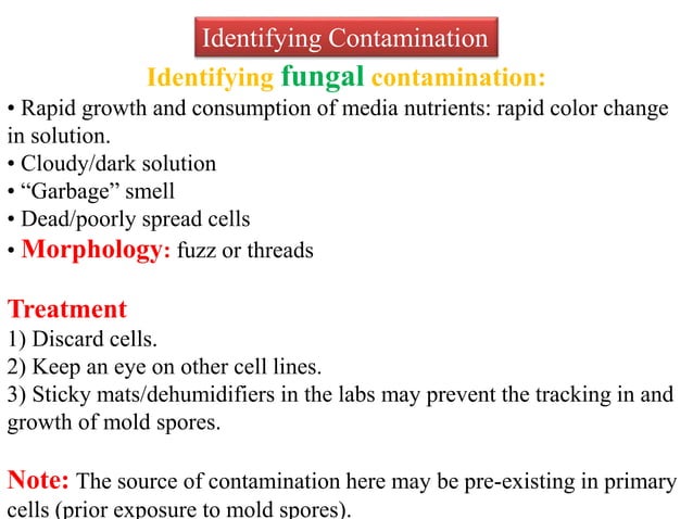 identifying cell culture problems lecture 7 | PPT