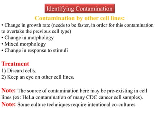 identifying cell culture problems lecture 7 | PPTX