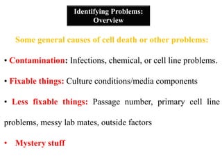 identifying cell culture problems lecture 7 | PPTX
