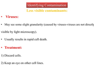 identifying cell culture problems lecture 7 | PPTX