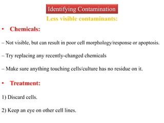 identifying cell culture problems lecture 7 | PPTX