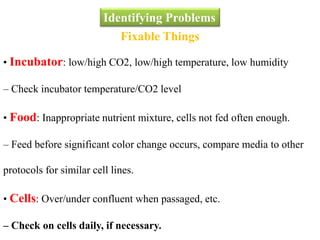 identifying cell culture problems lecture 7 | PPTX