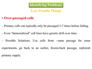 identifying cell culture problems lecture 7 | PPTX