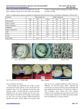 Performance Evaluation of Cabbage (Brassica oleracea Capitata ...