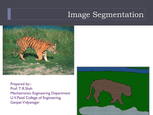 image-segmentation techniques for object detection | PPT | Technology & Computing