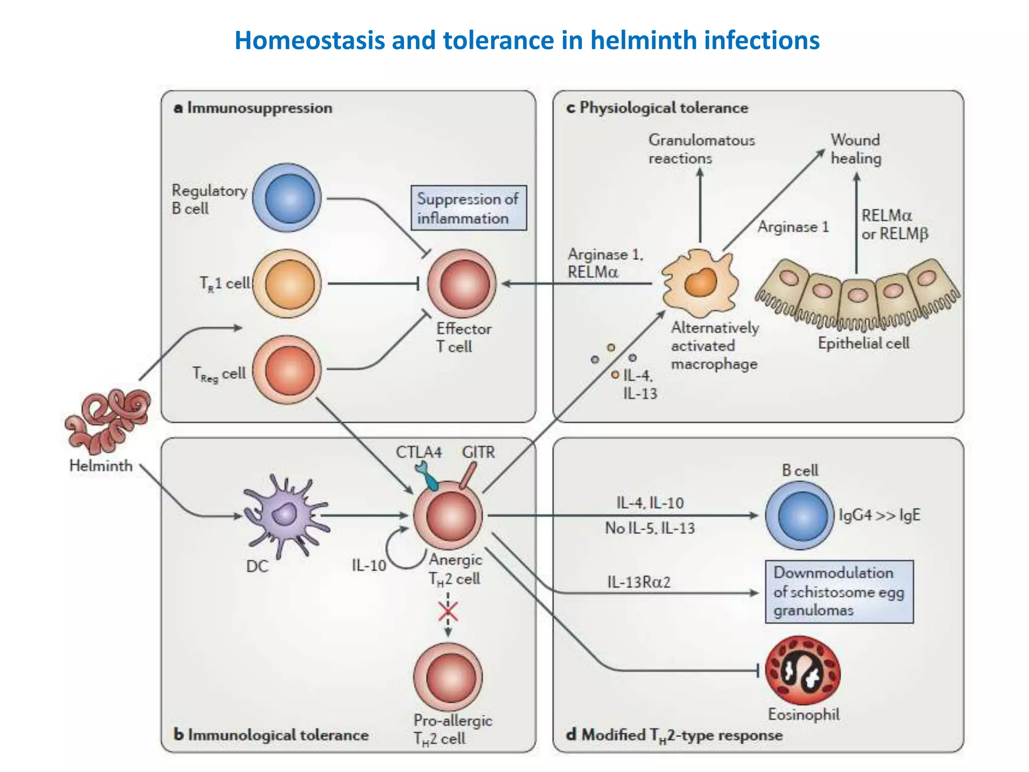 7-Immunology to infection.pptx