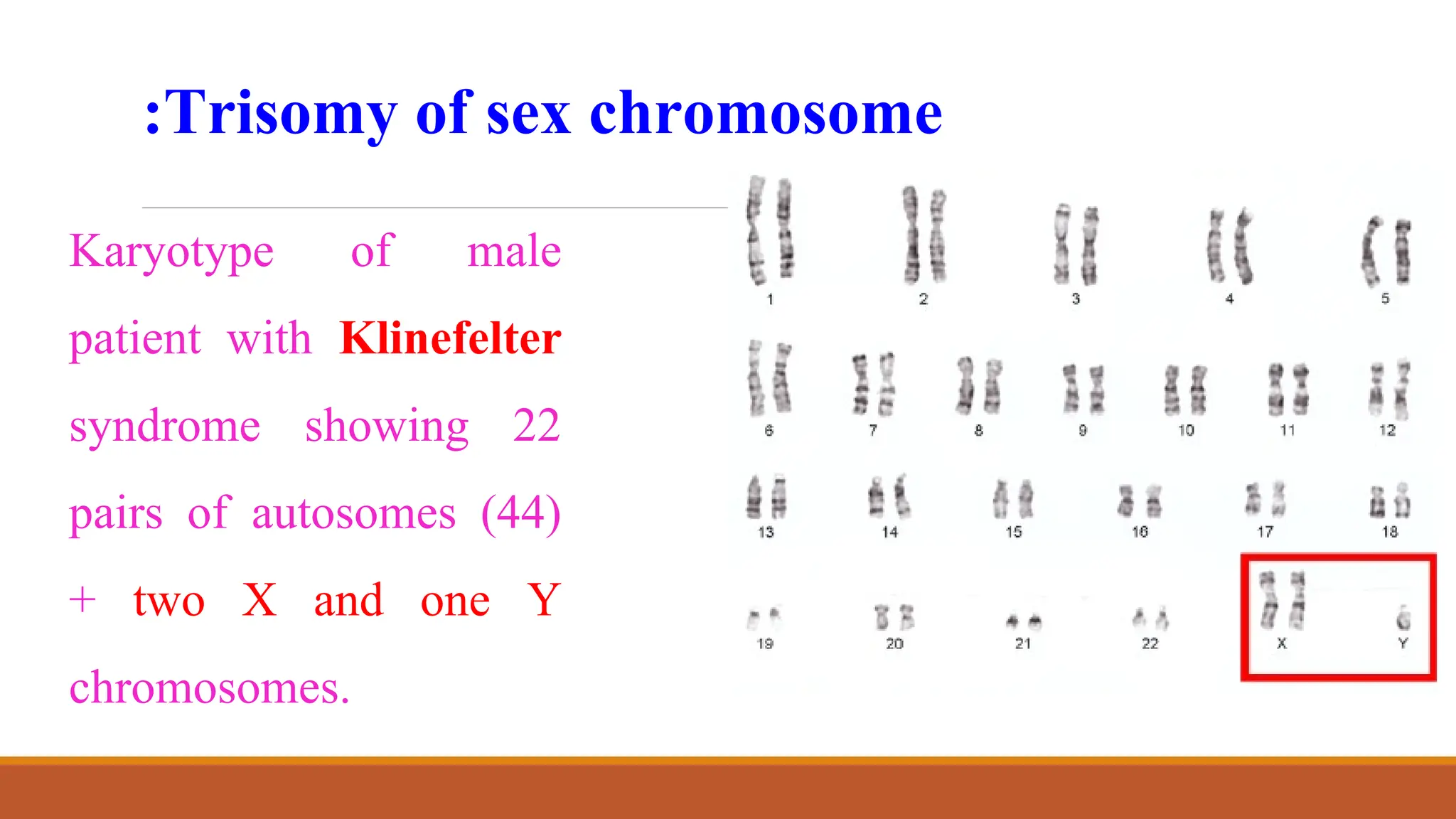 7- Karyotyping.ppt.pdf يركز على الجانب الطبي | PDF