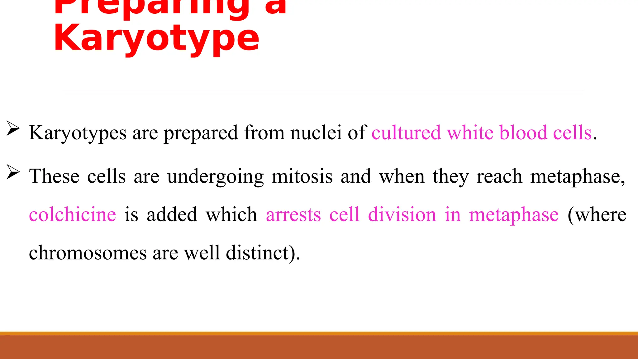 7- Karyotyping.ppt.pdf يركز على الجانب الطبي | PDF