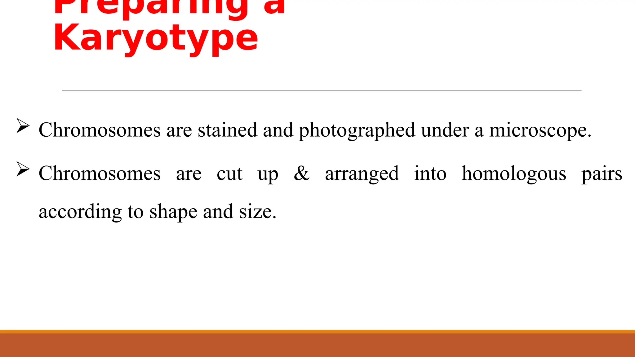 7- Karyotyping.ppt.pdf يركز على الجانب الطبي | PDF