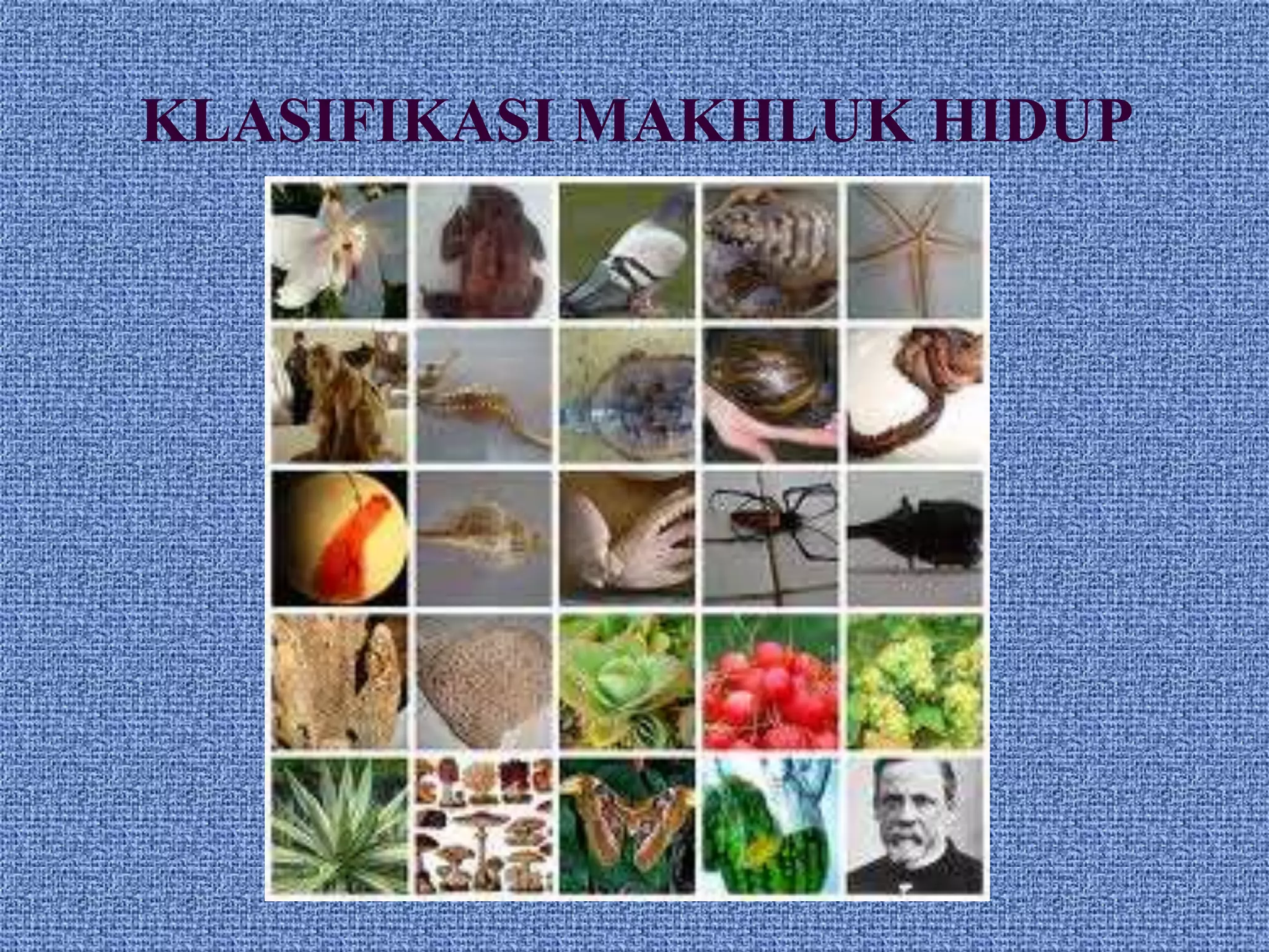 7 - klasifikasi makhluk hidup.pptx
